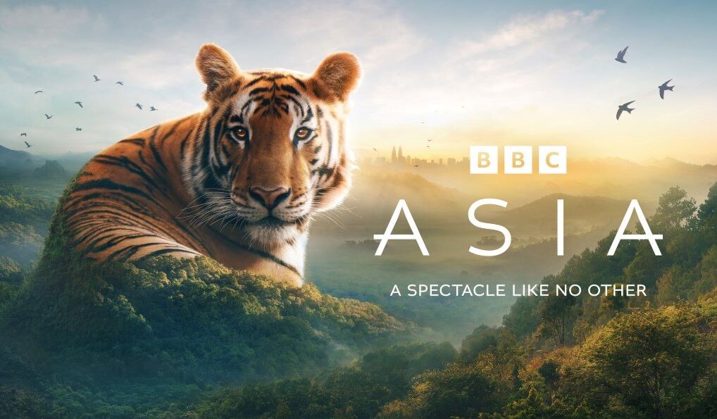 BBC STUDIOS RENEWS PARTNERSHIPS FOR LANDMARK NATURAL HISTORY IN ...